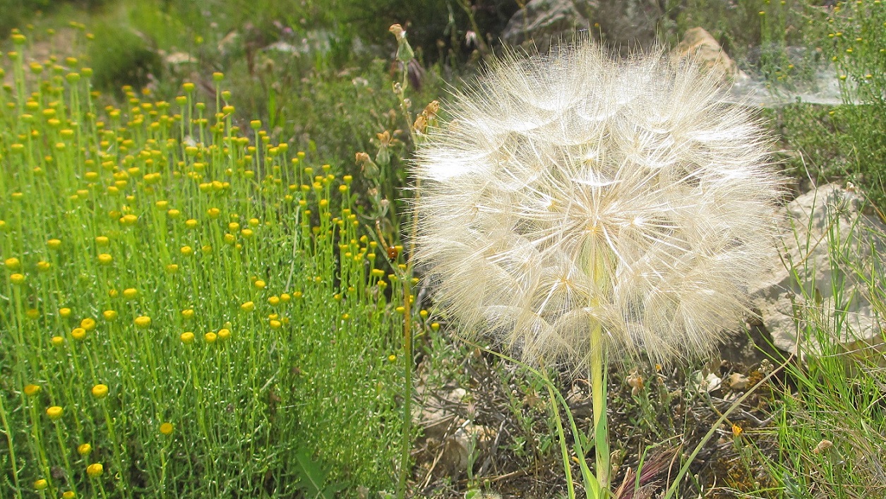 Unidad 03 – Latín McGraw